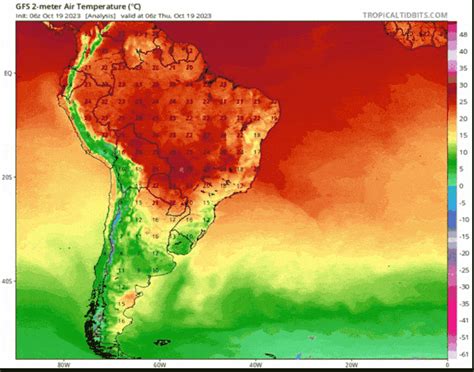 Entenda como o silício e os microrganismos são aliados para lidar