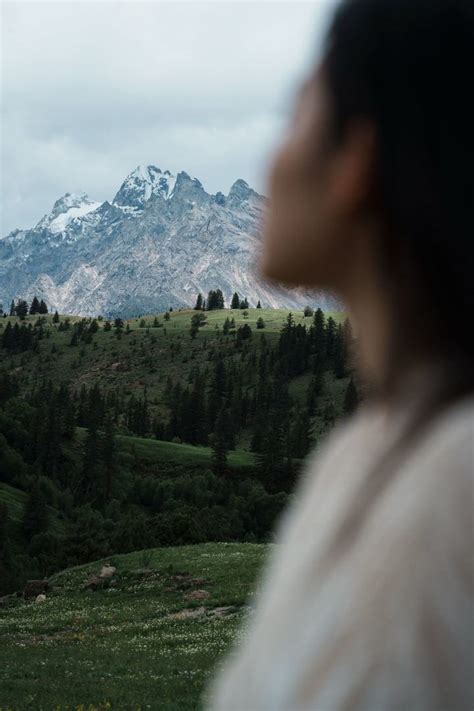 山不见我，我自见山
