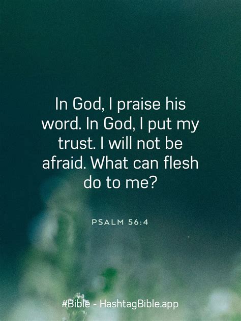 21 Wisdom Bible Verses Nkjv Wondafox Artofit