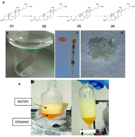Illustration Of CTL Synthesis A Scheme Of CTL Synthesis Starting
