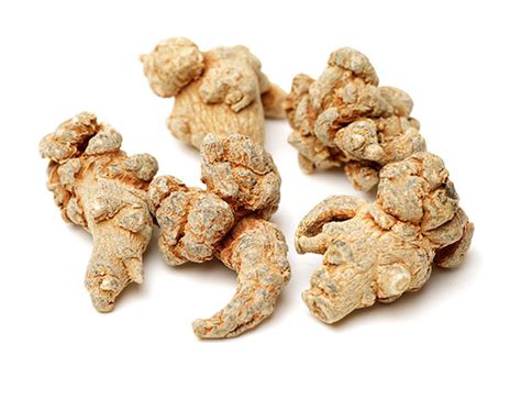 Bulk Organic Astragalus Membranaceus Powderroot Wholesale Manufacturer