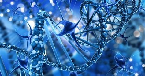 Evolving Landscape Of Nanopore Technology In Next Generation Sequencing
