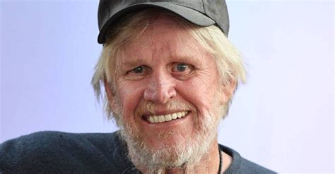 Gary Busey Charged With Sex Offenses At Monster Mania Con