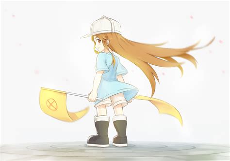 Platelet Cells At Work Hd Wallpapers