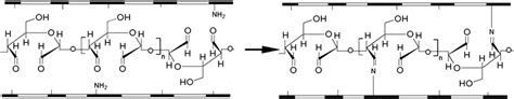The Formation Of Cross Linking Bonds Between Aldehyde Groups Of Das And