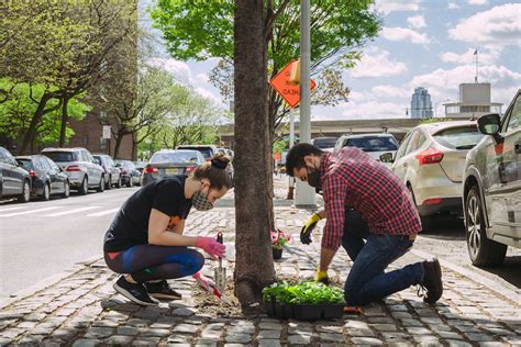 Old Growth Forests What They Are And Why They Matter One Tree Planted
