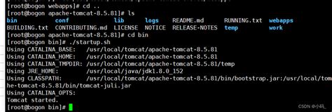 Centos下前后端分离项目（vuespringboot）的详细部署过程（初学者，简易版）centos7 Shell脚本部署