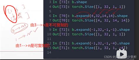 Torch学习笔记之——tensor维度变换torch 交换维度 Csdn博客 Torch学习笔记之——tensor维度变换torch 交换维度 Csdn博客