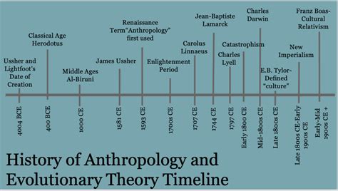 Anthropology Test 1 Diagram Quizlet