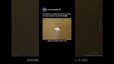 This Worlds Smallest Robot Fly Like Bee You Wont Believe How It Works Robot Engineering