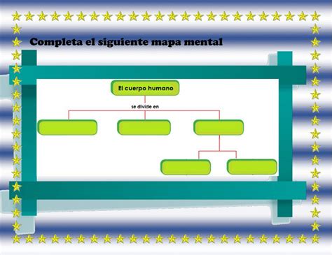 El Cuerpo Humano Activity For Primero De Primaria Live Worksheets