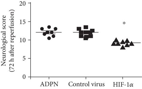 Downregulating Hif 1α With Aav Delivered Sirna Can Reduce The