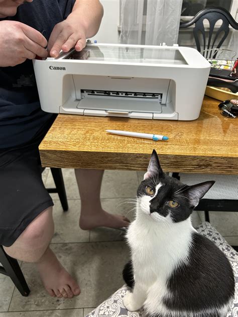 Unexplainable Paper Jam Error Code Took It Apart And Discovered All