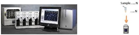 Affymetrix Microarray Molecular Resource Center Institutional Cores
