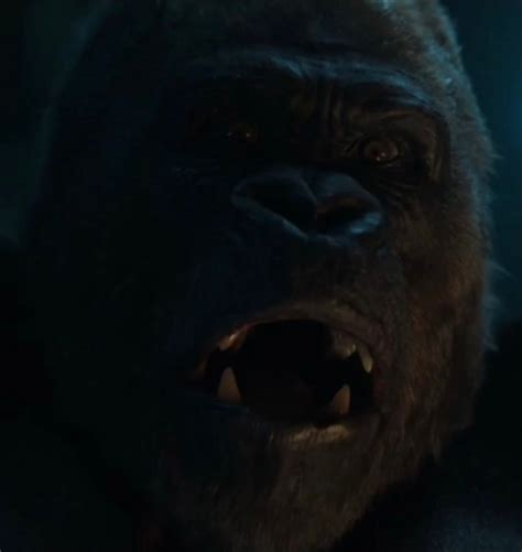 Charlie Dc Extended Universe Wiki Fandom