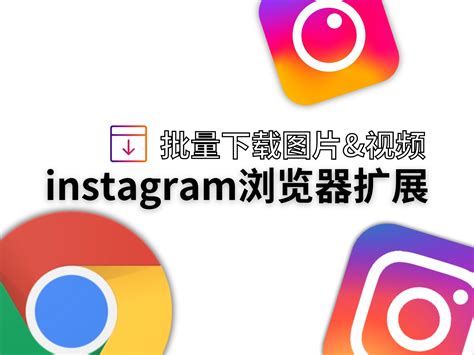 全网首发！instagram批量下载工具。一键保存高清图片视频资源，批量下载博主所有媒体素材。 Inscarry Inscarry 哔哩哔哩视频