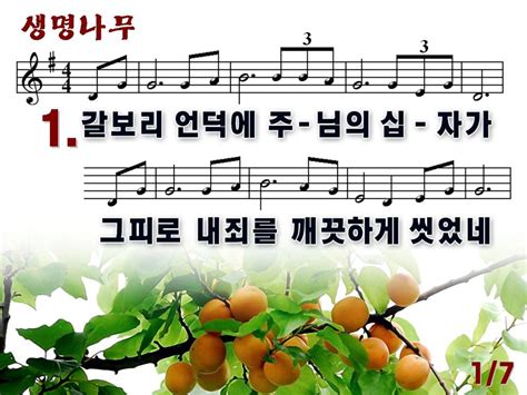 생명나무 2012년 4월 다섯째주 주보찬양 ♣찬양 악보 Ppt 자료방 새검단교회