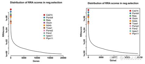 crispr screen基因RRA散点图 知乎