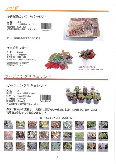 多肉植物 カクト・ロコ カタログ 岡山の生花・園芸・雑貨資材の卸売店｜セイテック㈱ H・r・i