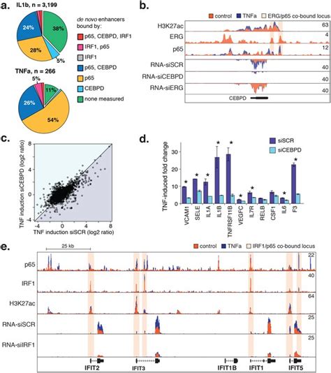 Transcriptional Networks Specifying Homeostatic And Inflammatory