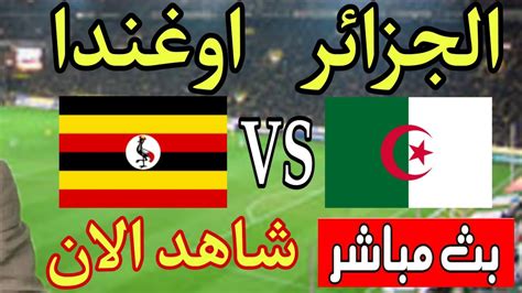 مباراة الجزائر واوغندا مباشر في تصفيات كأس افريقيا 2023 Algérie