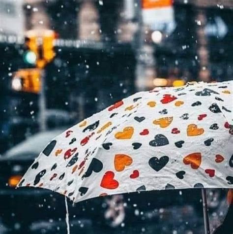 ყიდვა გაყიდვა გაჩუქება რაჭაში