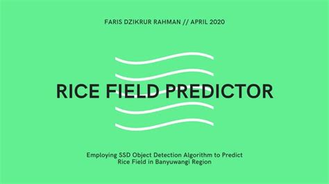Rice Field Predictor Using Object Detection Algorithm Pdf