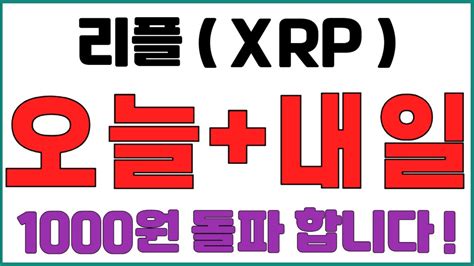 리플코인 오늘내일 1000원 돌파 합니다 불독코인프리세일코인시바이누코인리플이더리움도지코인코인단타사면가tv Youtube