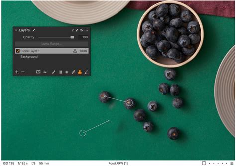 Repairing Layers With The Clone Tool Home