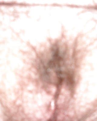 Hairy Wife Tits Pits Pussy Tampon Porn Pictures Xxx Photos Sex Images Pictoa