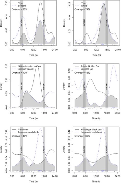 Temporal Overlap Between Species And Species Groupings From Camera Trap Download Scientific