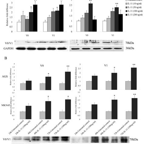differential expression of versican and its isoforms a q rt pcr