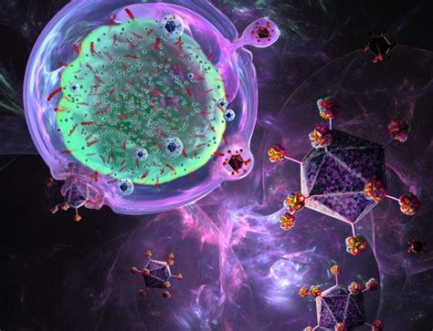 Real Time Potency Assay For Car T Cell Killing Of Cancer Cells