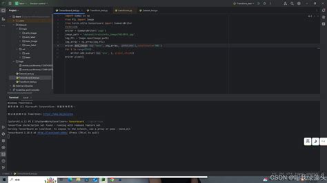 pytorch学习的第二天，学习transform中一些类的用法，比如totensor和tensorboard pytorch 图像