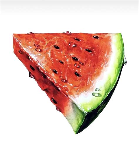 수박에 있는 예진 정님의 핀 그림 디자인 그림 제품 스케지