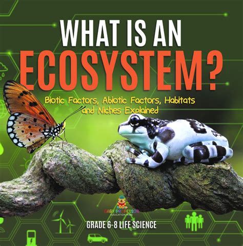 What Is An Ecosystem Biotic Factors Abiotic Factors Habitats And