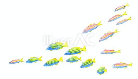 小魚の群れイラスト No 24193024／無料イラストフリー素材なら「イラストac」
