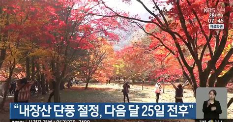 내장산 단풍 절정 다음 달 25일 전후