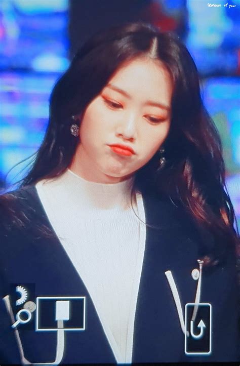 ㄱㅇㅇ 돌핀 回 🐯 Miraclesinb