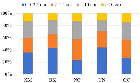 Frontiers Spatial Distribution And Composition Of Marine Litter On Sandy Beaches Along The