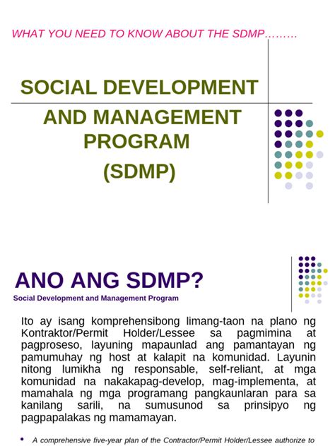 Sdmp Pdf