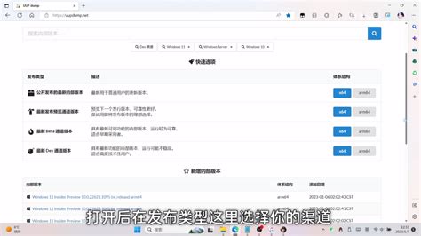 全网首发！完美解决win11测试版更新报错更新失败问题的方法！速看！ 哔哩哔哩