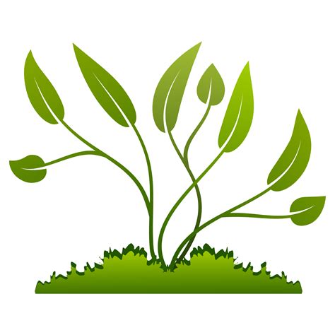 Siluet Pohon Pinus Png Maize Plant Clip Art At Macam Macam Porn Sex Picture