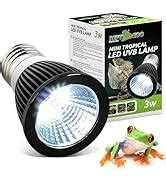 Amazon.com : REPTI ZOO UVB Reptile Light with Dimming, LED UVB Light Bulb Fixture for Bearded ...