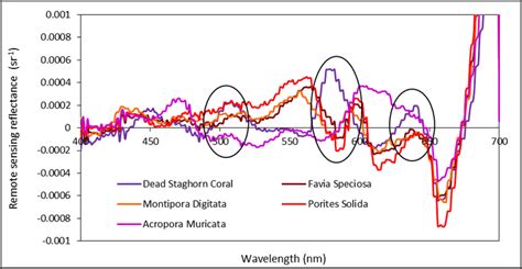 Results Of First Order Derivative Analysis Download Scientific Diagram