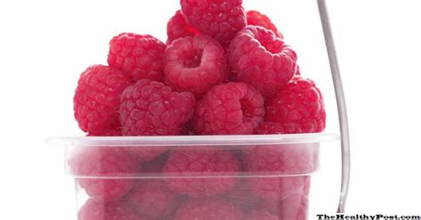 Ugunstige Reaksjoner På Red Raspberry Bevegelse Fremover 2024