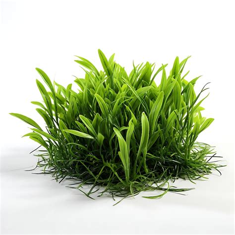 Premium Ai Image Microsword Dense Clumps Of Grassy Bright Green
