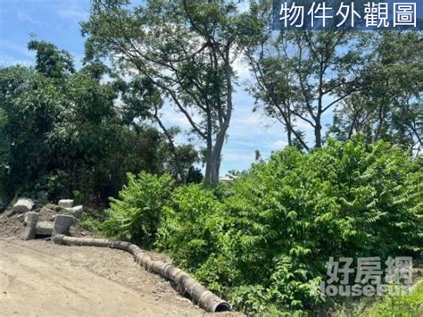 石牛溪左岸河堤農地 雲林縣斗六市石牛溪段 土地 農林出售 有巢氏房屋 好房網買屋
