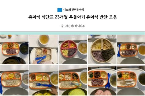 유아식 식단표 23개월 두돌 아기 유아식 반찬 모음 네이버 블로그