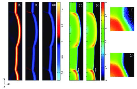The Structure Near The Detonation Front Obtained By The Micro Part Of